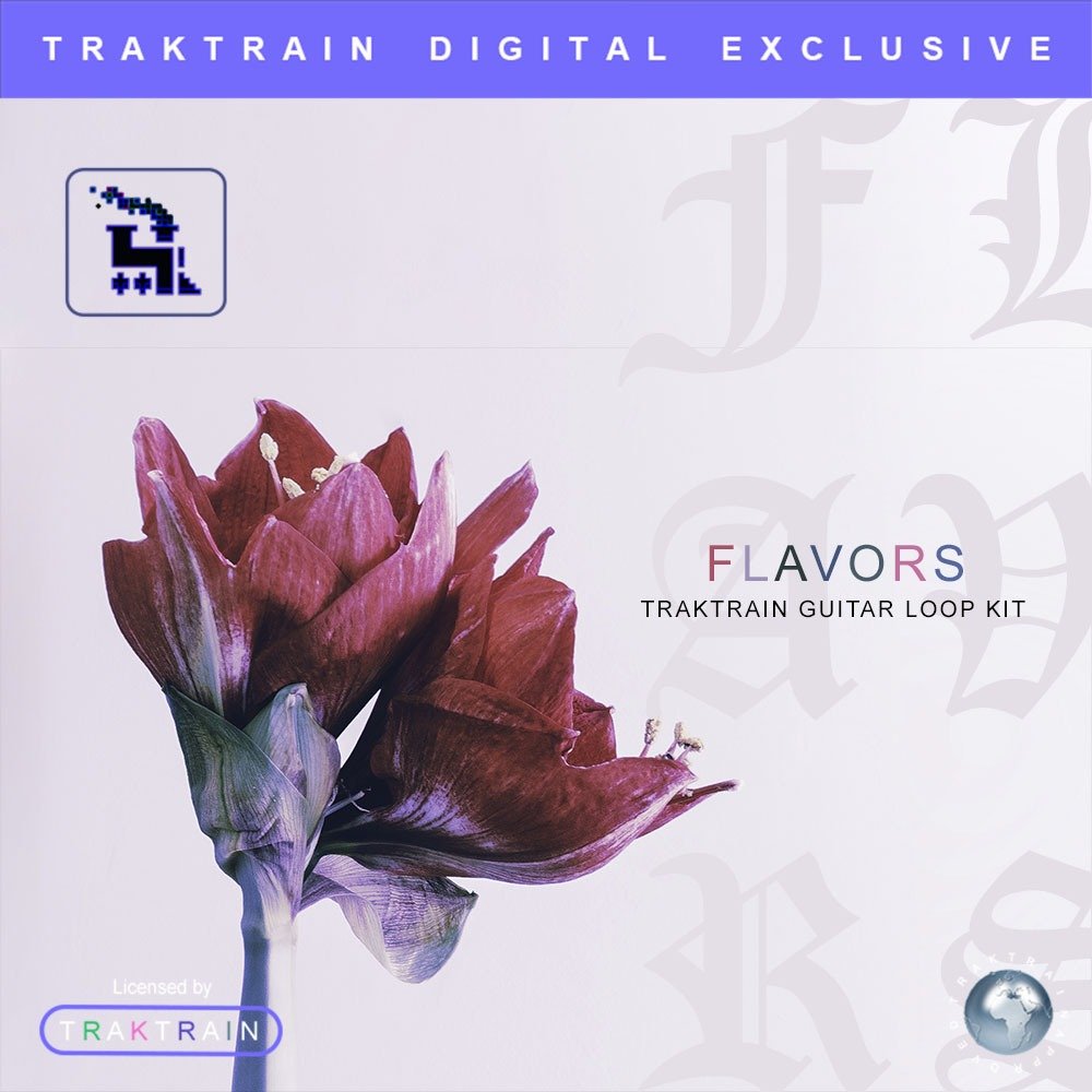 Flavors Traktrain Guitar Loop Kit Buy Now - | TRAKTRAIN Store