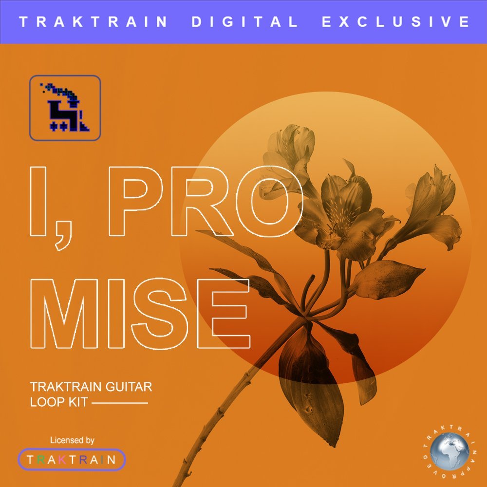I, promise Traktrain Guitar Loop Kit Buy Now - | TRAKTRAIN Store