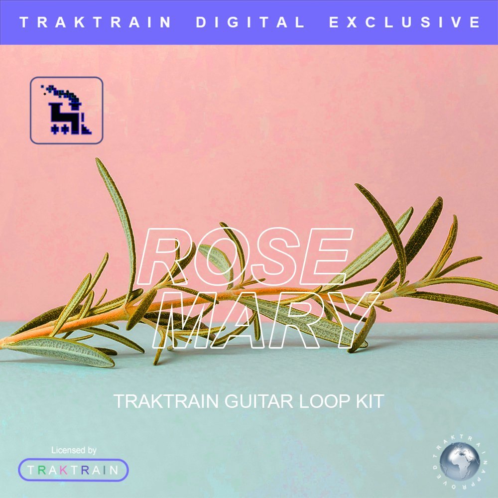Rosemary Traktrain Guitar Loop Kit Buy Now - | TRAKTRAIN Store